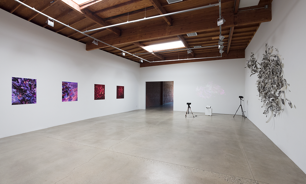 OCHI Gallery - Nancy Baker Cahill